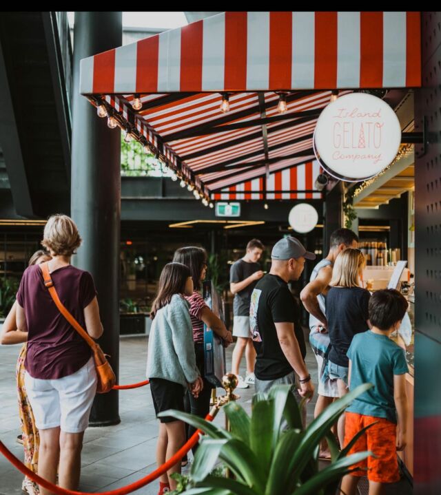 Gallery - Island Gelato Co.
